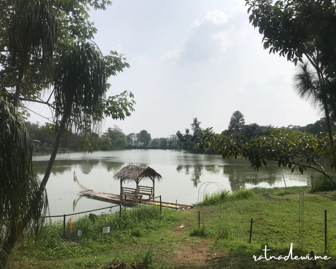 Jasmine Park Cisauk, Mini Zoo & Resto yang Nyempil di Tengah Permukiman ...